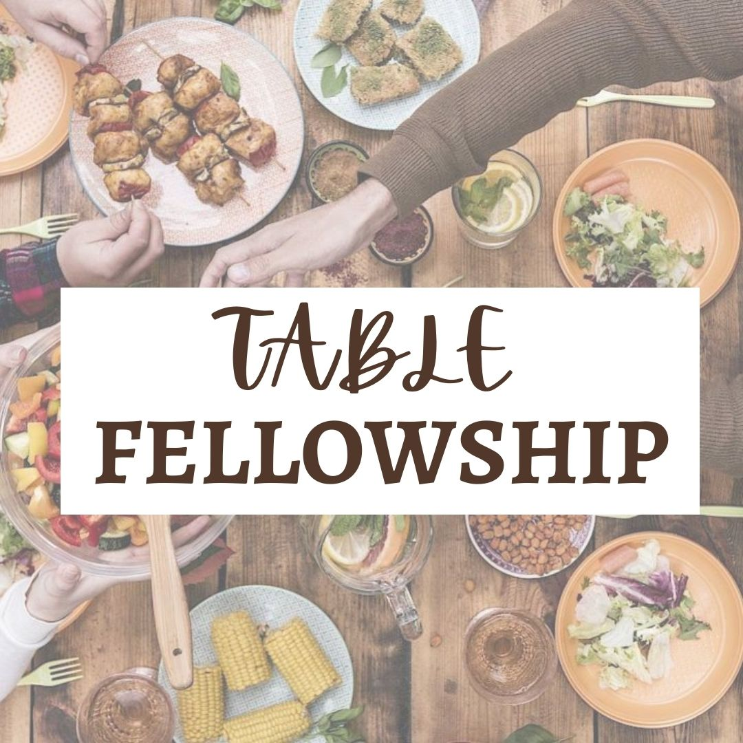 Revealing Our “Wild” Experiment – vocation matters