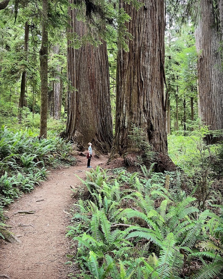 Learning and Living Through Awe – vocation matters